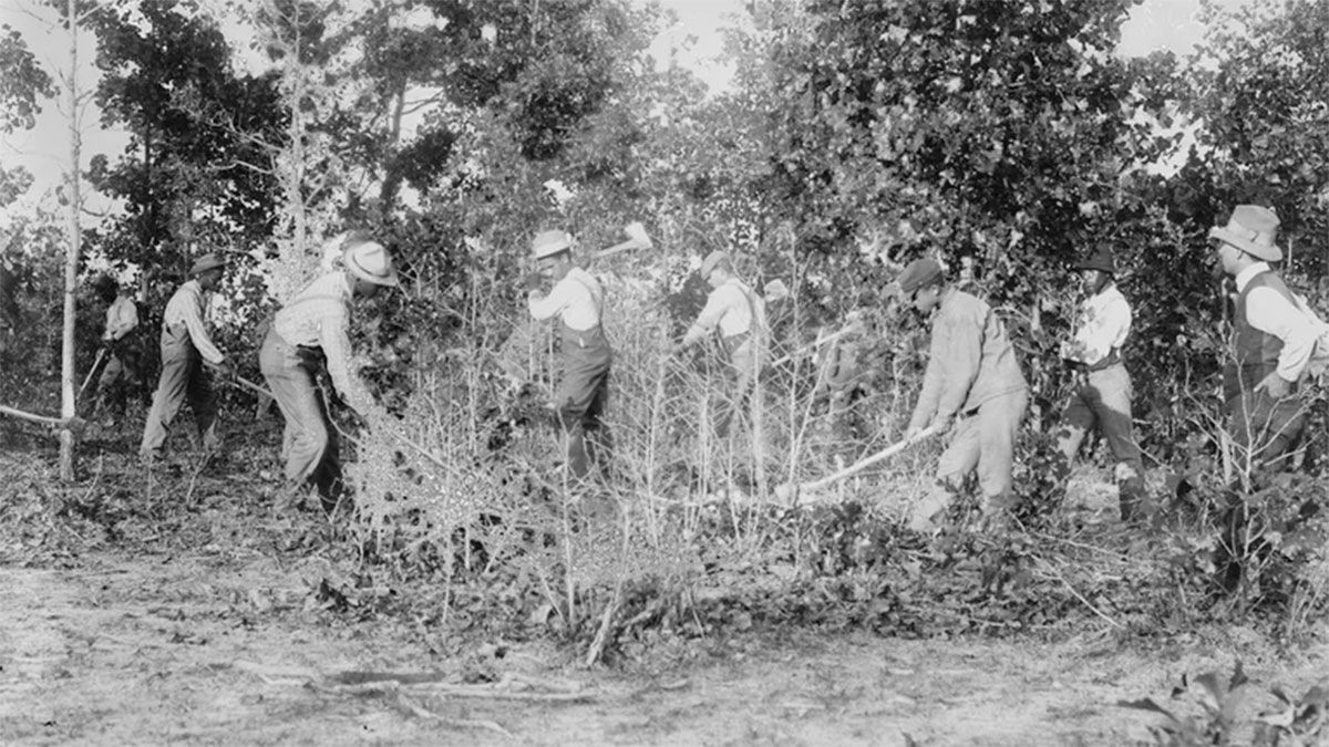 Proyecto Tuskegee: el atroz experimento que engañó y condenó a muerte a ...